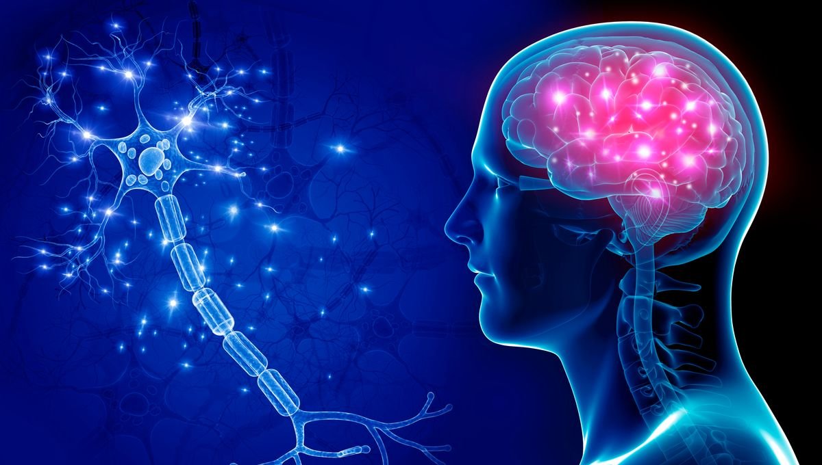 Comment votre cerveau devient-il le fournisseur officiel de bonheur